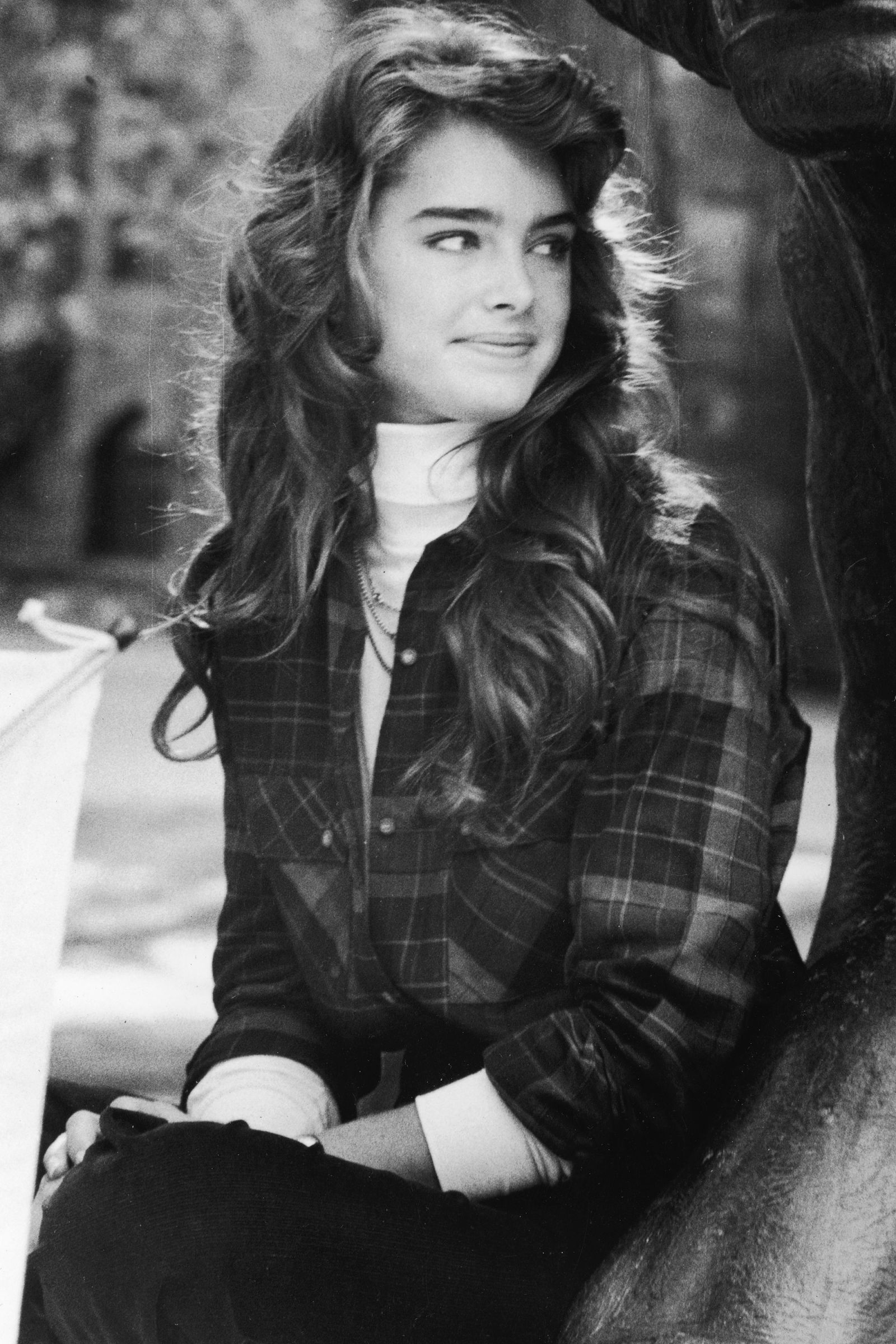 Brooke Shields Model